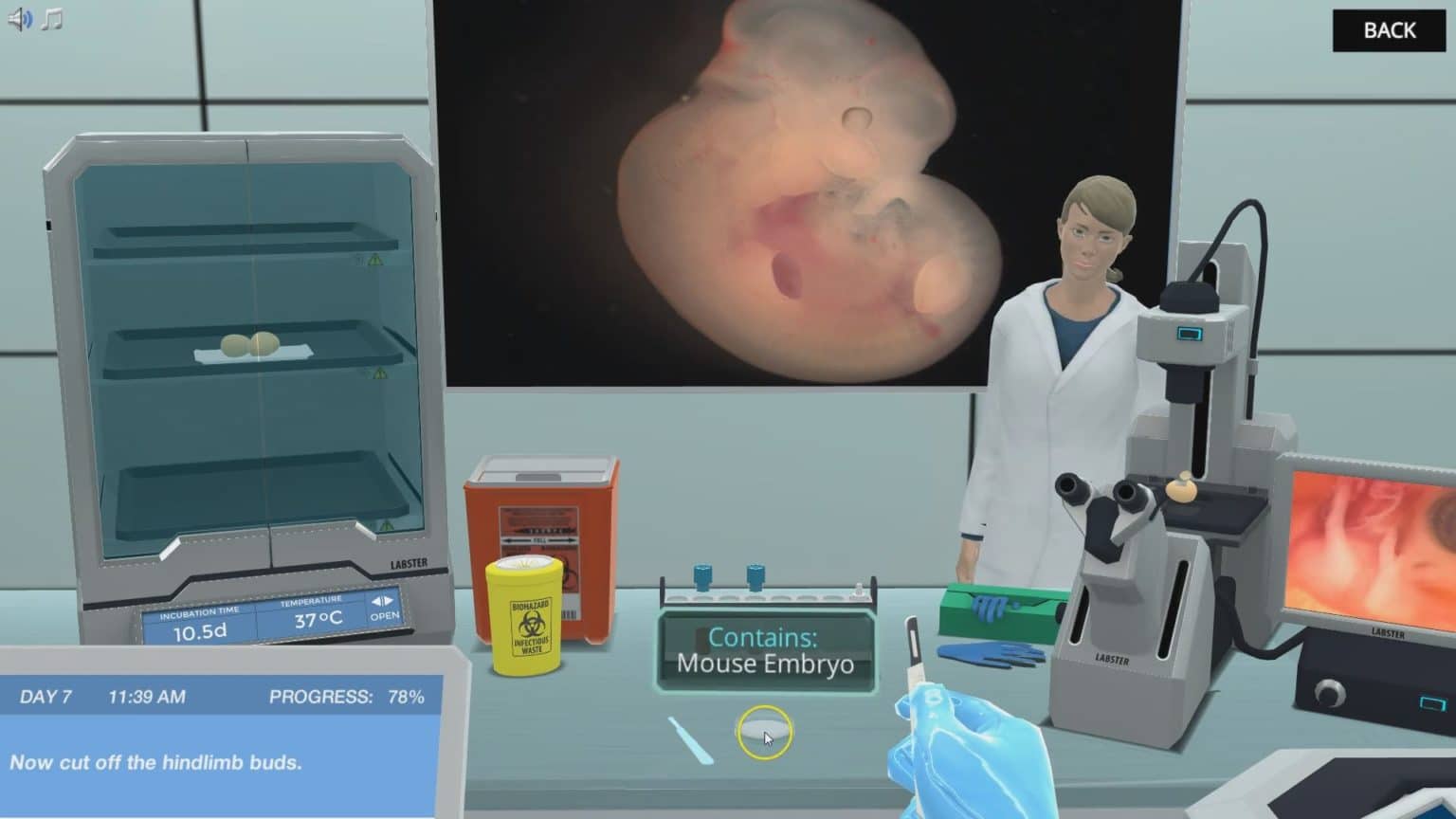 Virtual Lab: Embryology Simulation Virtual Lab | Labster