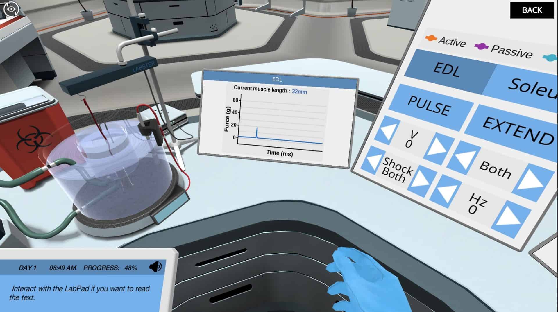 Skeletal Muscle: Learn about the muscles we use to walk and run | Labster