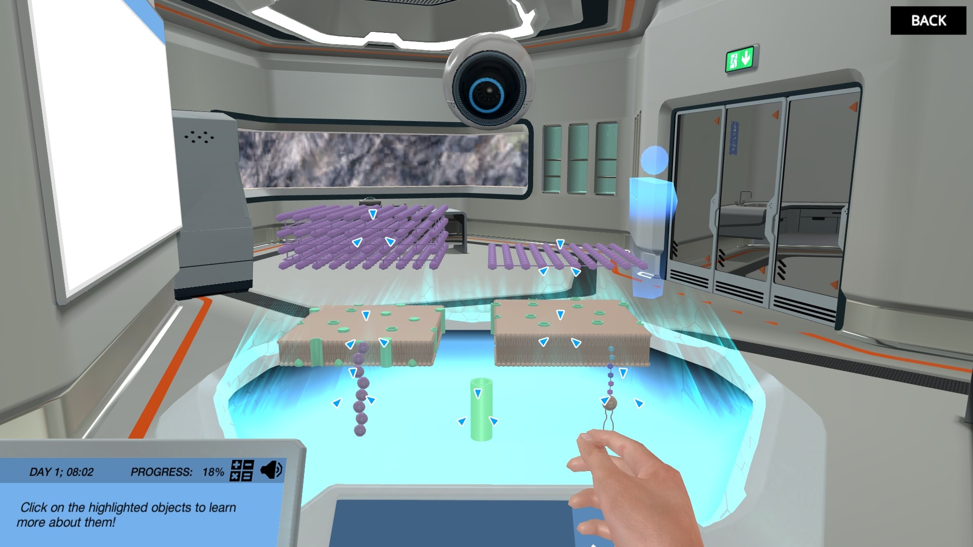 Building Gram Positive and Gram Negative Cell Walls (NEW) | Labster